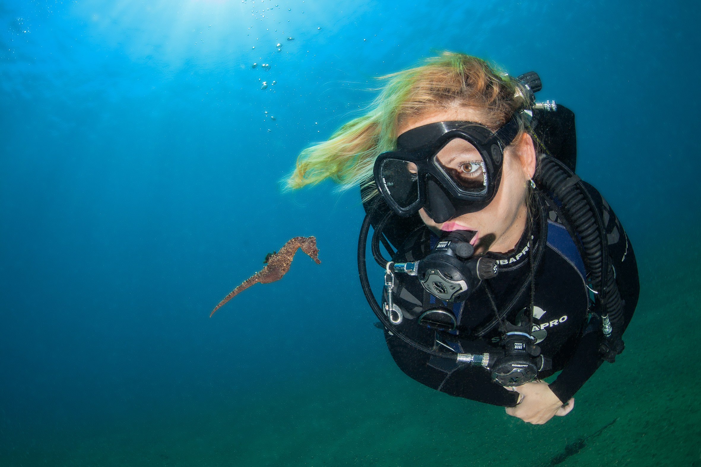 Nicholas_Samaras_Underwater_Photography | αθηΝΕΑ