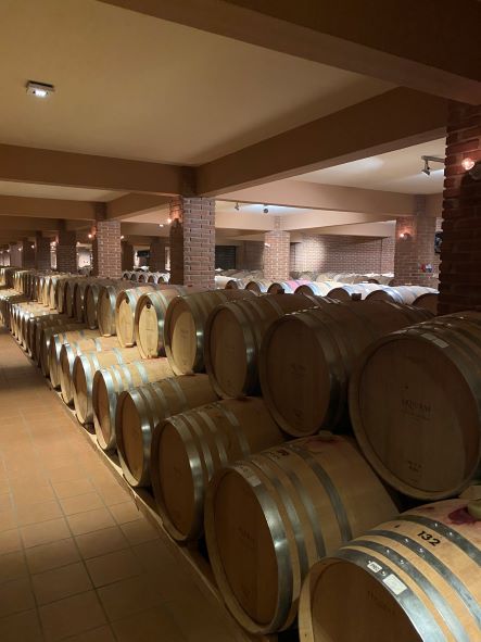 Wine Tasting στο Οινοποιείο Σκούρας: Κάθε Γουλιά και μια Ιστορία | αθηΝΕΑ